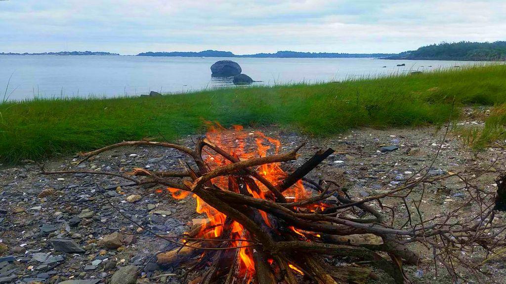 grape island - Boston Harbor Now