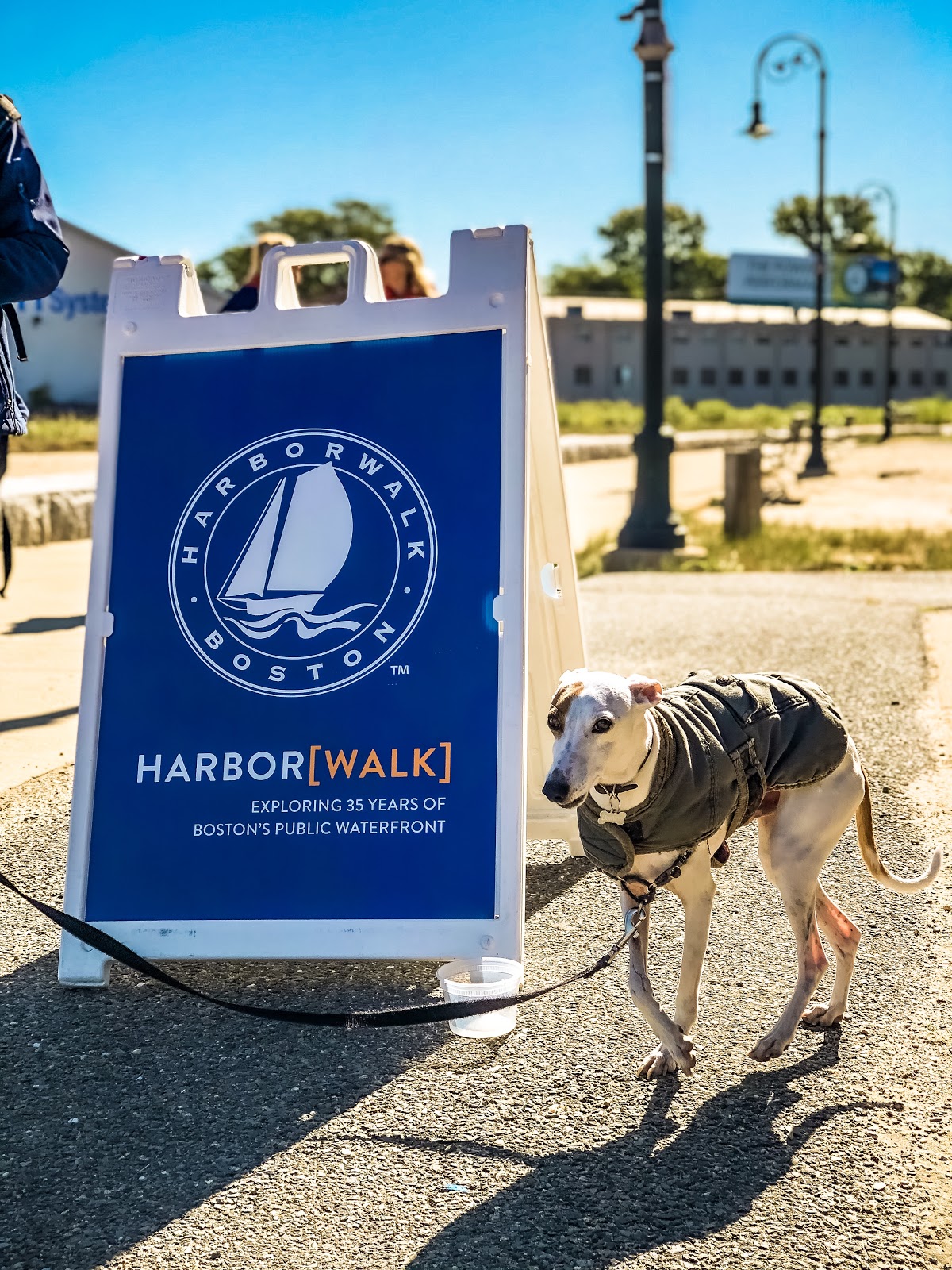 Boston Harbor[walk]s Kickoff on the Dorchester Shores - Boston Harbor Now