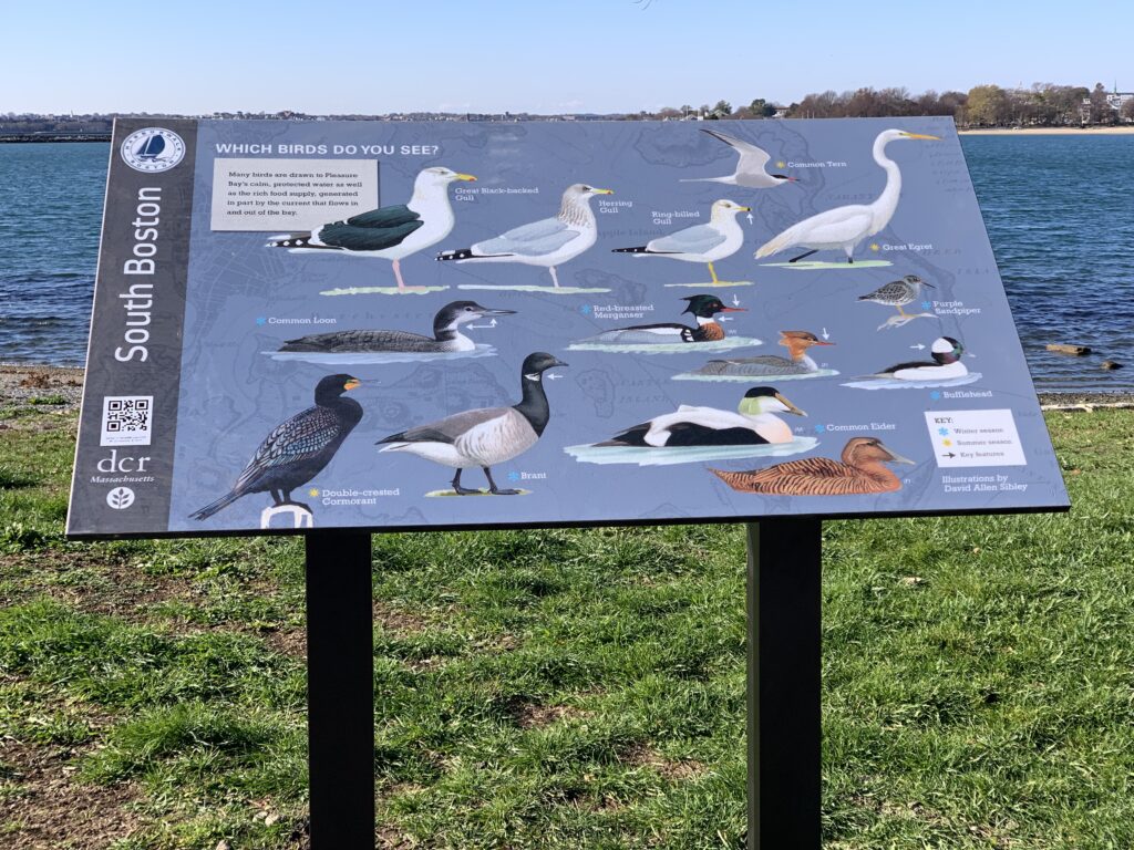Castle Island interpretive signs in place - Boston Harbor Now