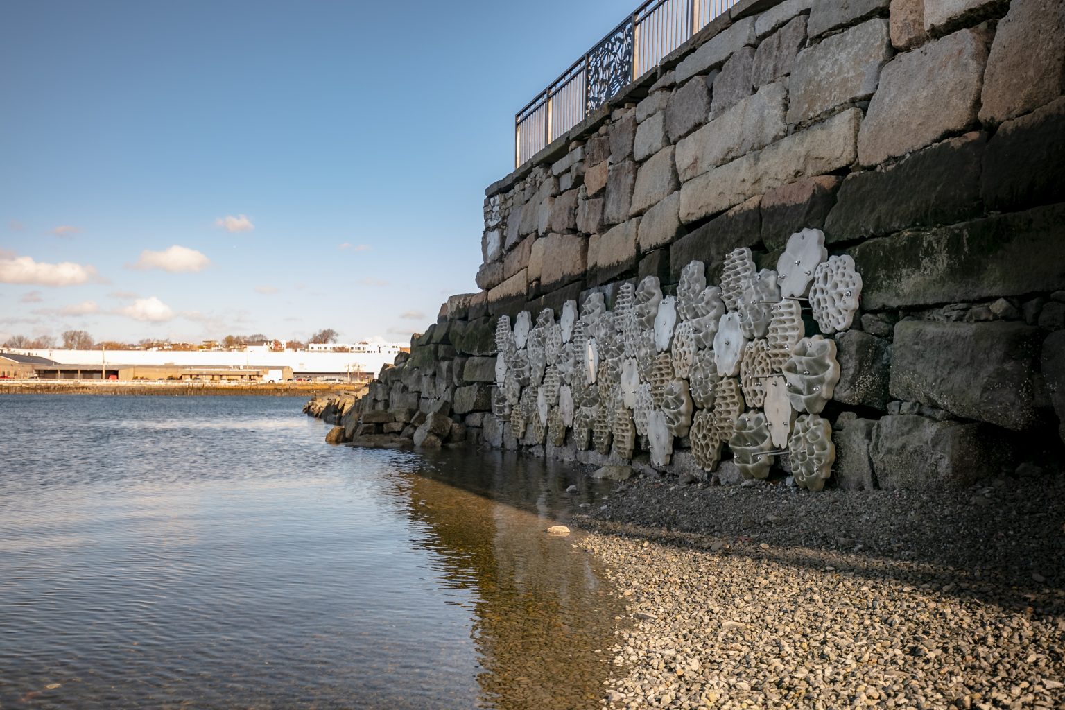 North America’s First-Ever Living Seawalls Habitat Panels Installed By ...