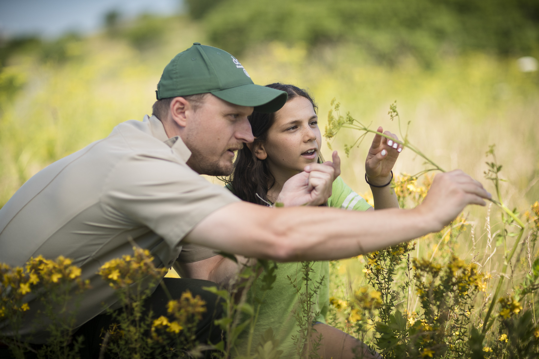 The ‘Revolutionary’ Impact of Colonialism on Boston Harbor’s Honeybees ...